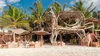 A Party Guide to Travel in Tulum: Unveiling the Best Restaurants ...