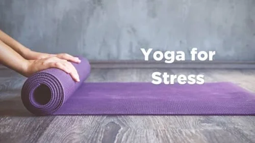 Yoga For Stress — FemFirstHealth