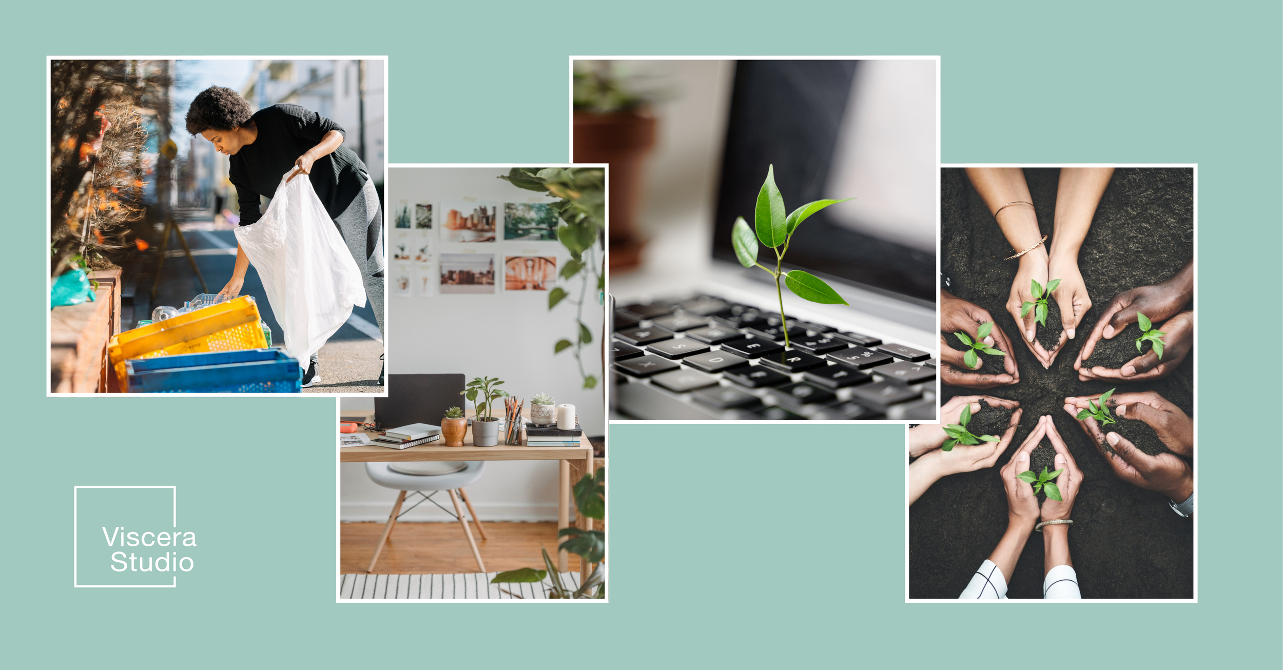 The Importance of Sustainability in Design Studios — Viscera Studio