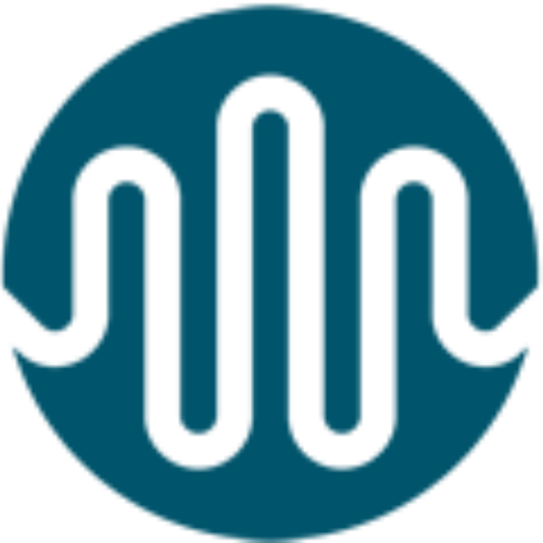 The Wave Process - Leadership and Communication Coaching