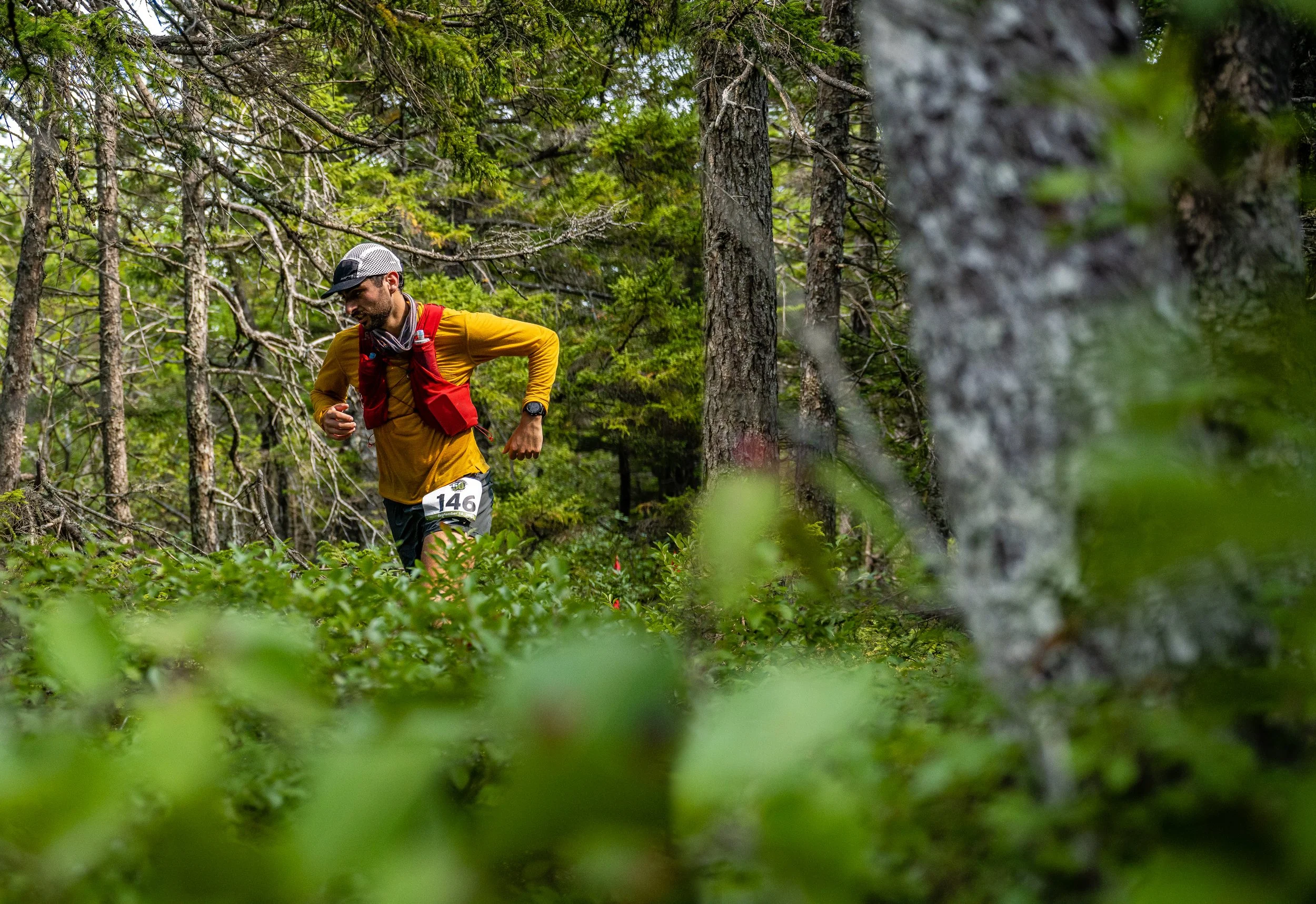 20K — Megunticook Trail Festival