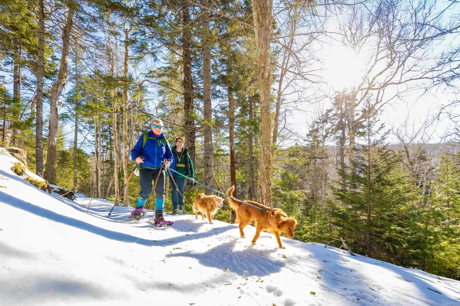 Winter Activities — Keppoch - Four seasons of Mountain Recreation ...