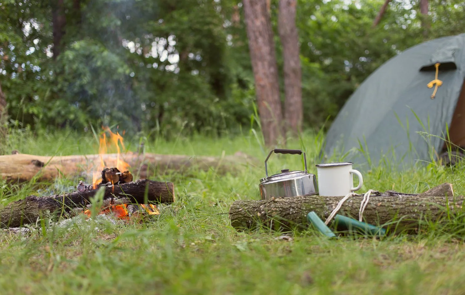 School Visits — Chilton Manor Farm
