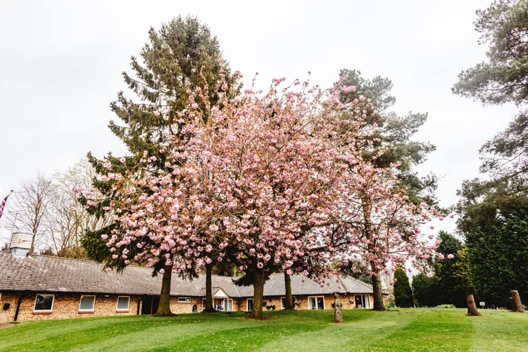 Cave Castle Hotel | Events, Golf, Health Club and more