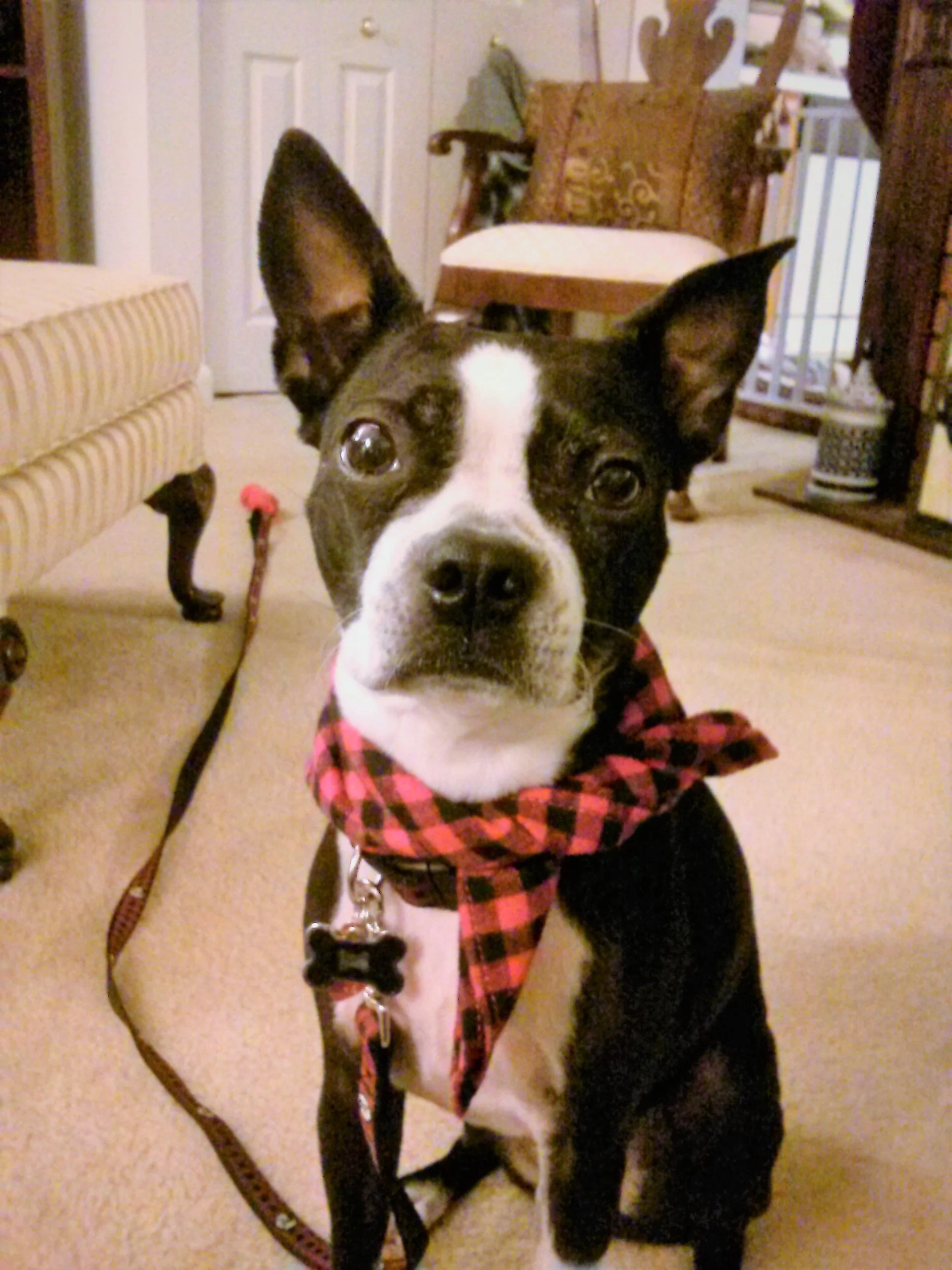 Joe's Story — Joe Pinsonneault