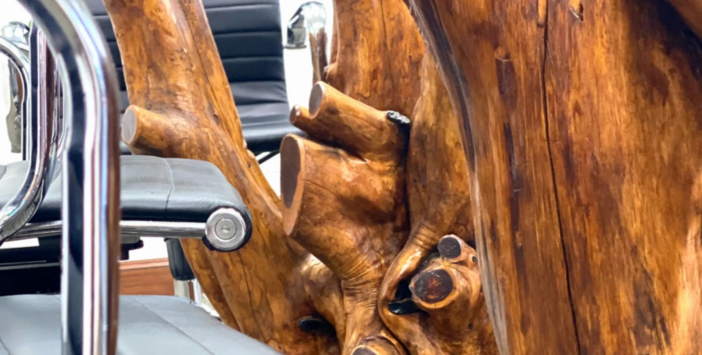 Areas of Practice — StuartClover