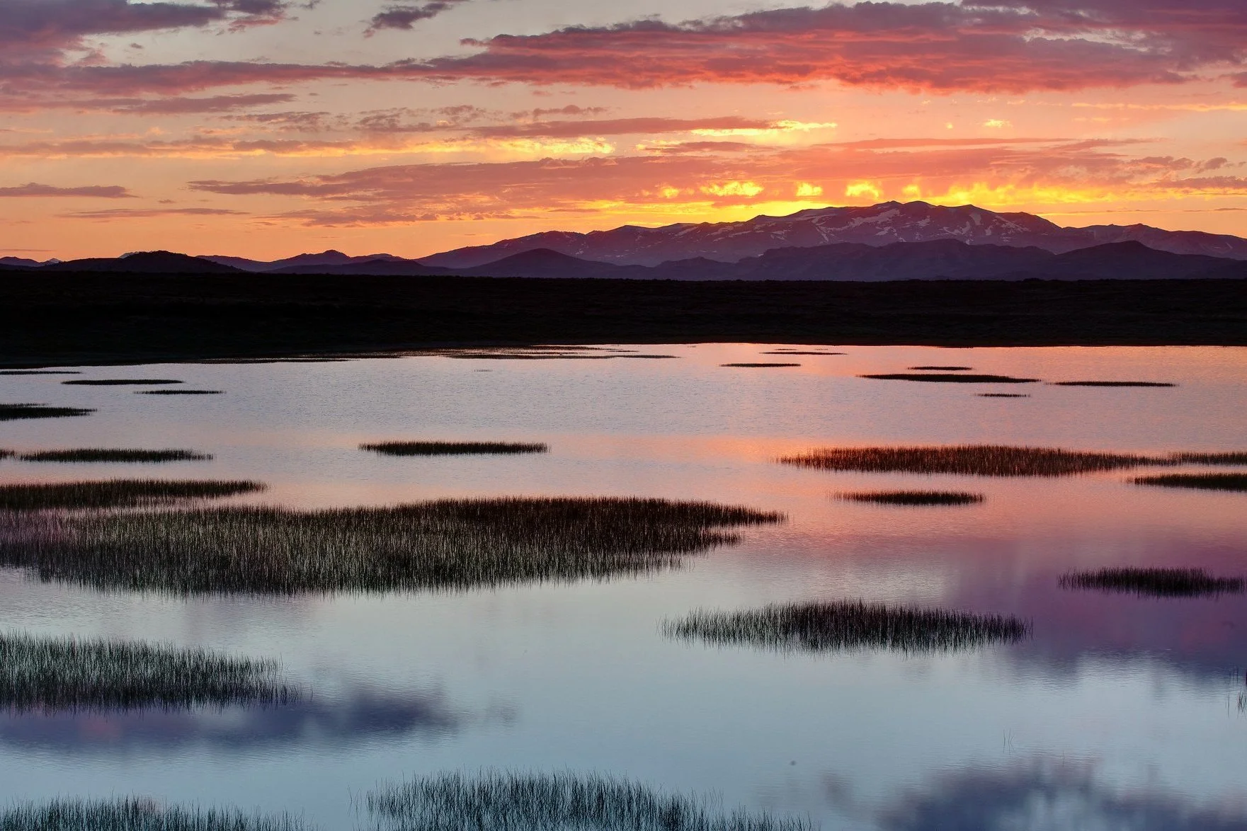 General 4 | Act Now for Public Lands