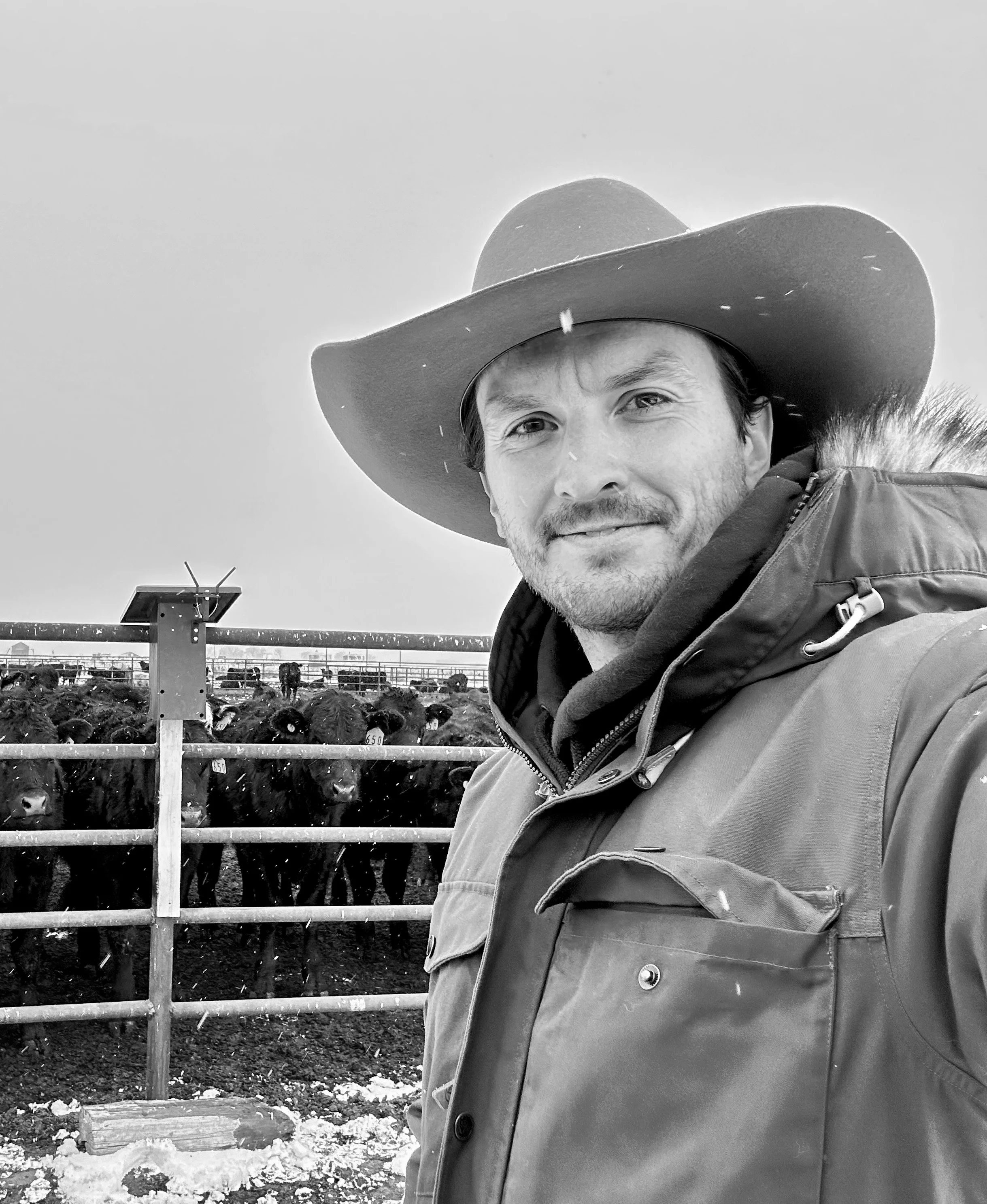 About Us — HerdDogg