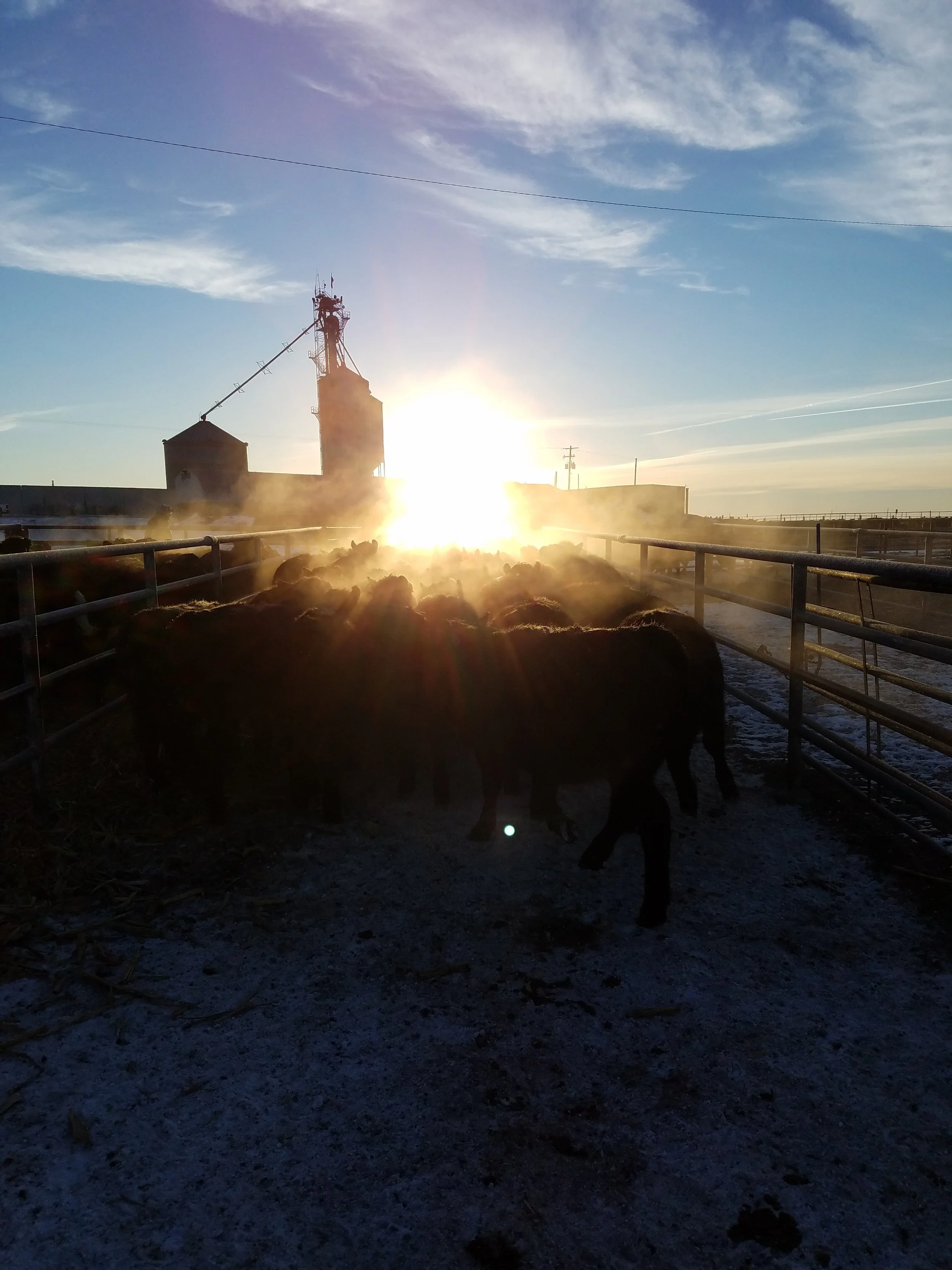 Careers — HerdDogg