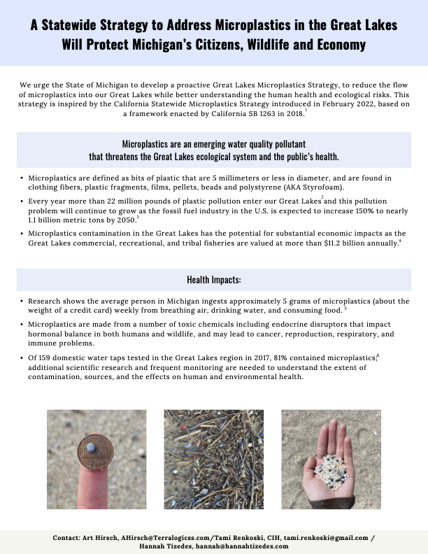Michigan Statewide Microplastics Strategy | Join the Microplastics ...