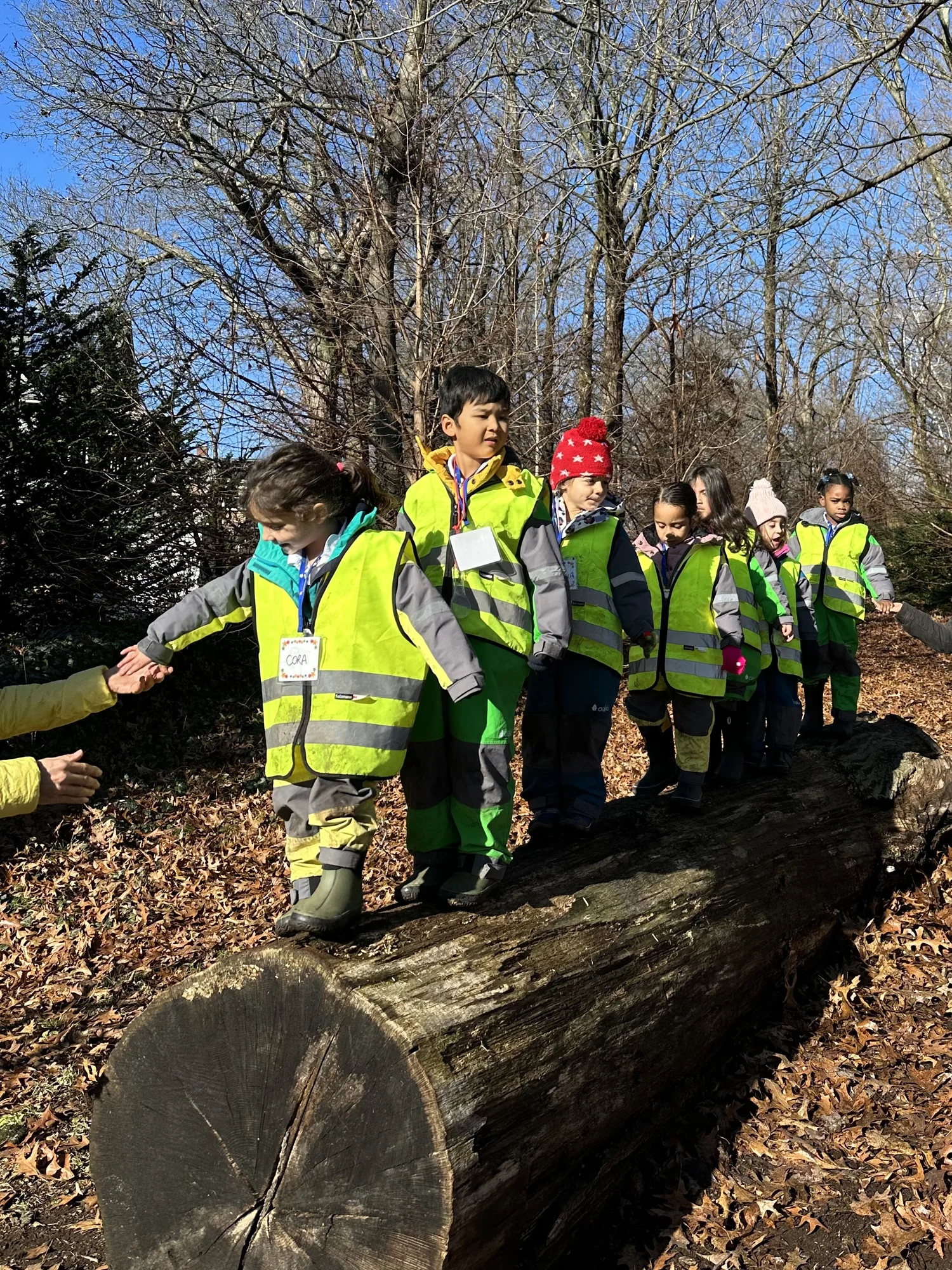 Careers & Employment Opportunities — Boston Outdoor Preschool Network