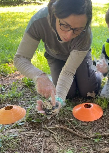 An Outdoor School Year and the Cycle of Life — Boston Outdoor Preschool ...