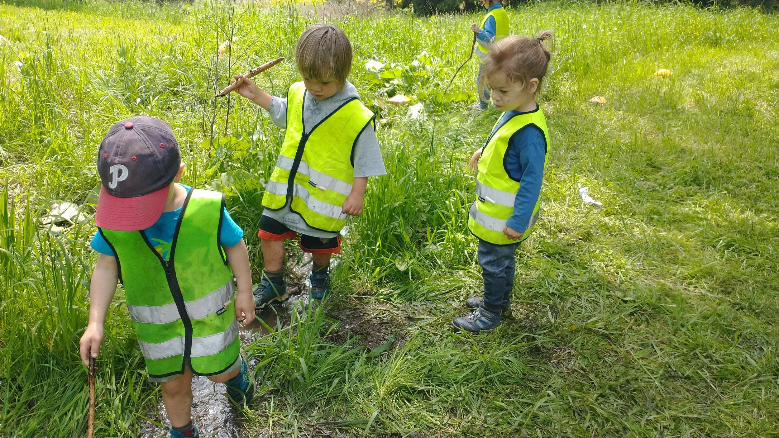 Summer Outdoor Programs at BOPN — Boston Outdoor Preschool Network