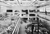 The Hyatt Regency Walkway Collapse: Kansas City's Darkest Day — KC ...