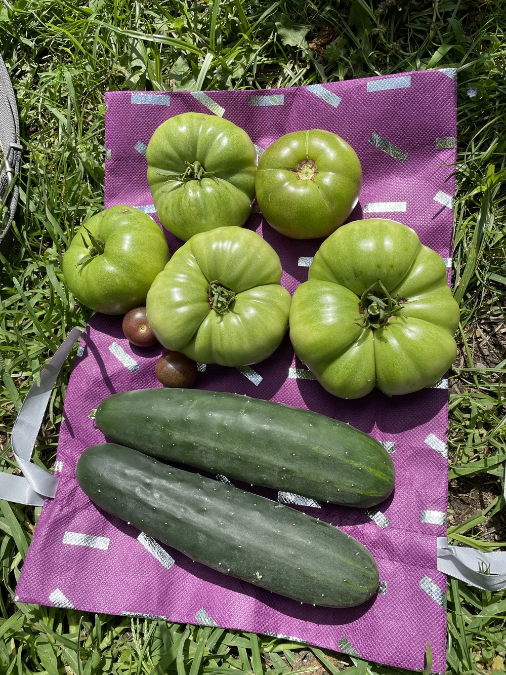 BLL Culinary Gardens