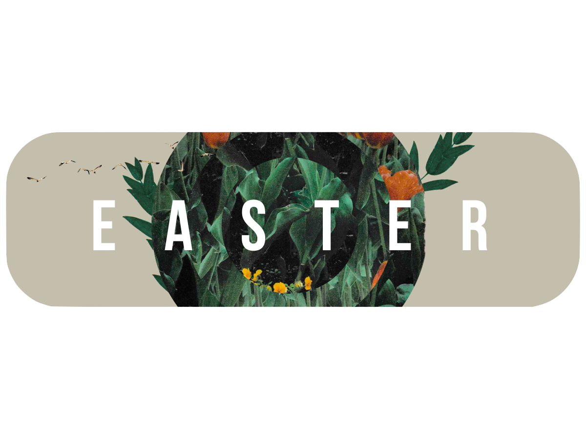 TRINITY ASSEMBLY OF GOD