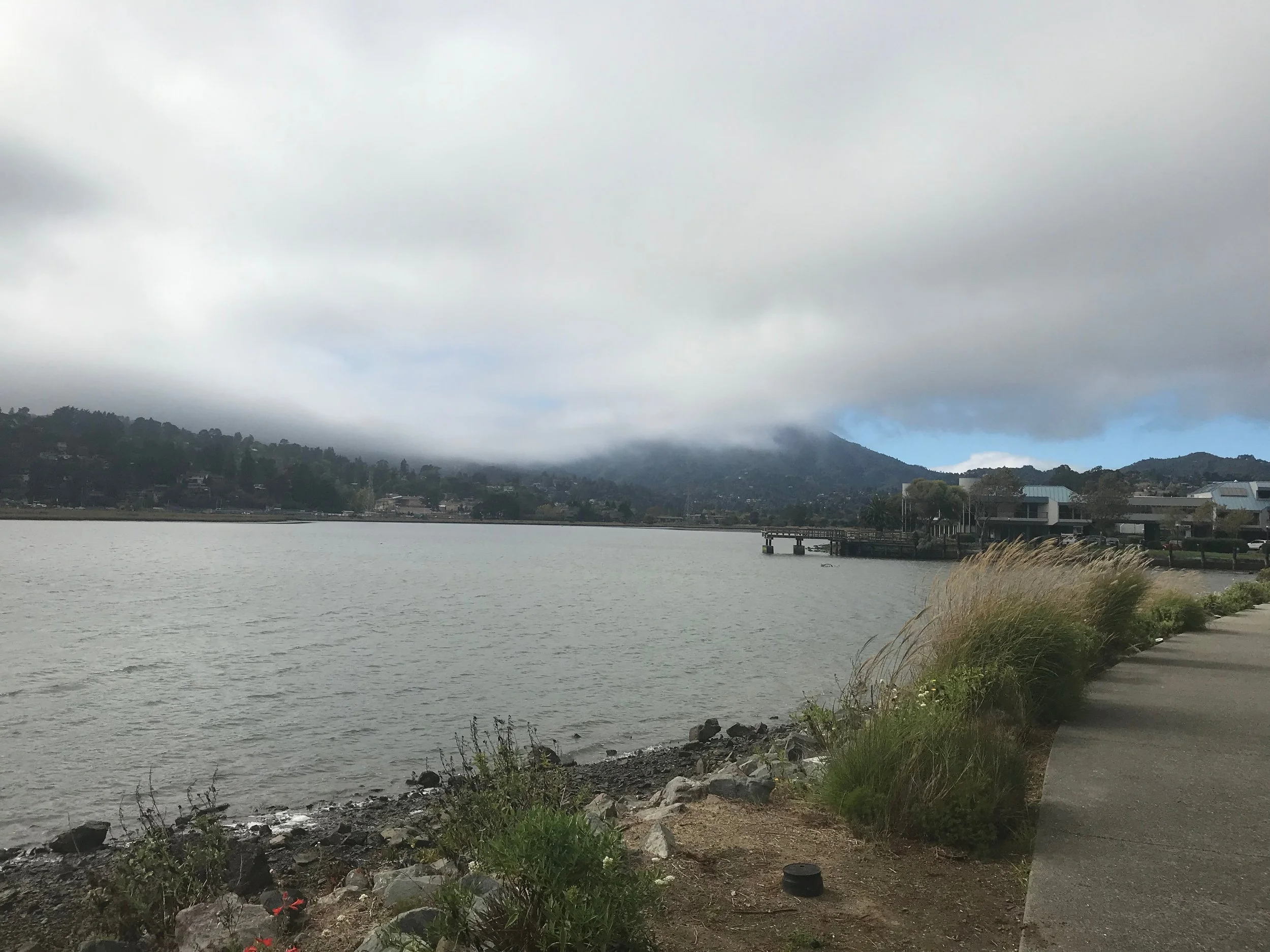 2024 Re-Elect Stephanie Moulton-Peters for Marin County Supervisor