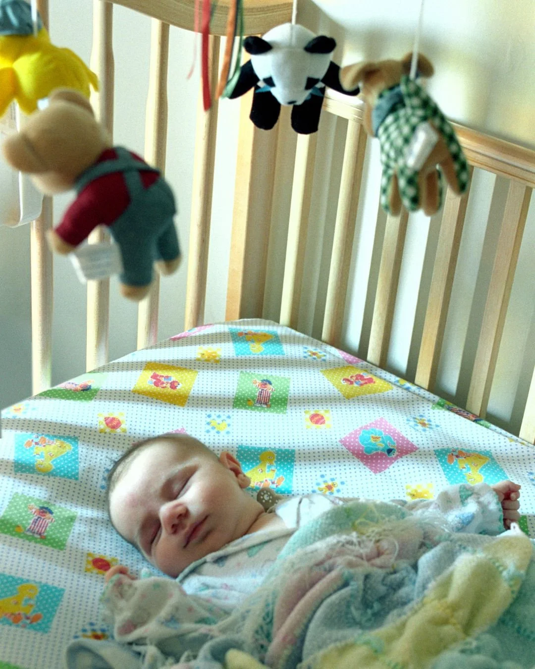 Transitioning from Contact Naps to Naps in a Cot : A Gentle Approach ...