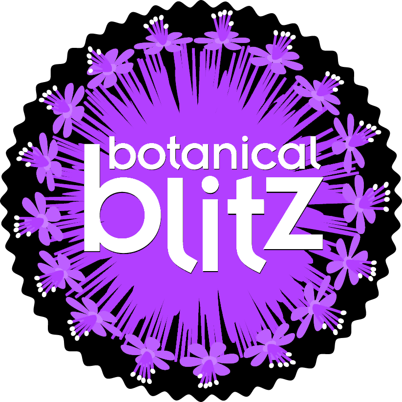 Spring Portfolio — Botanical Blitz