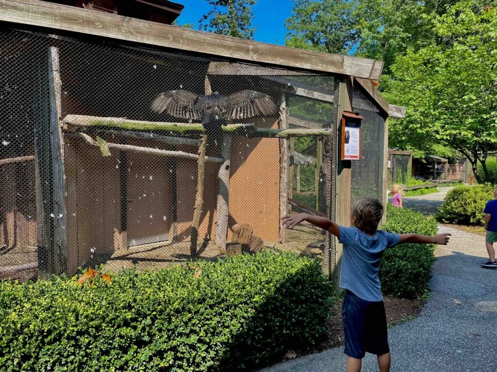 Nature Centers in the Cleveland Area — CLE With Kids