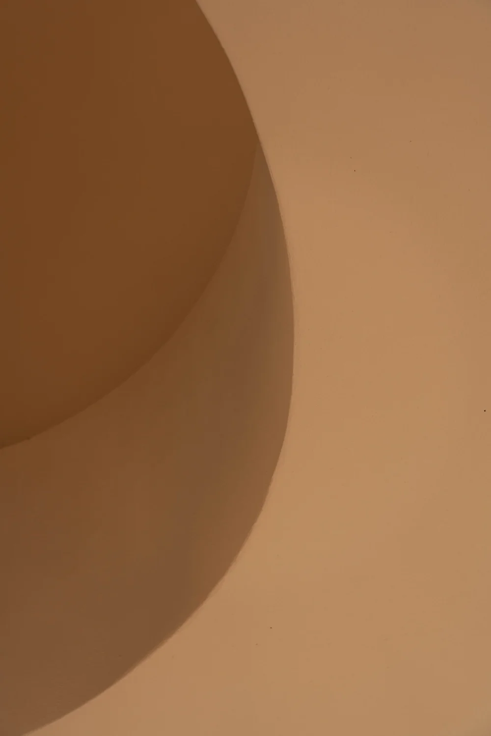 kori meloy — FREELY ROOTED