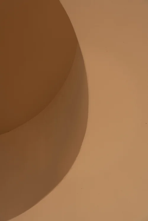 kori meloy — FREELY ROOTED