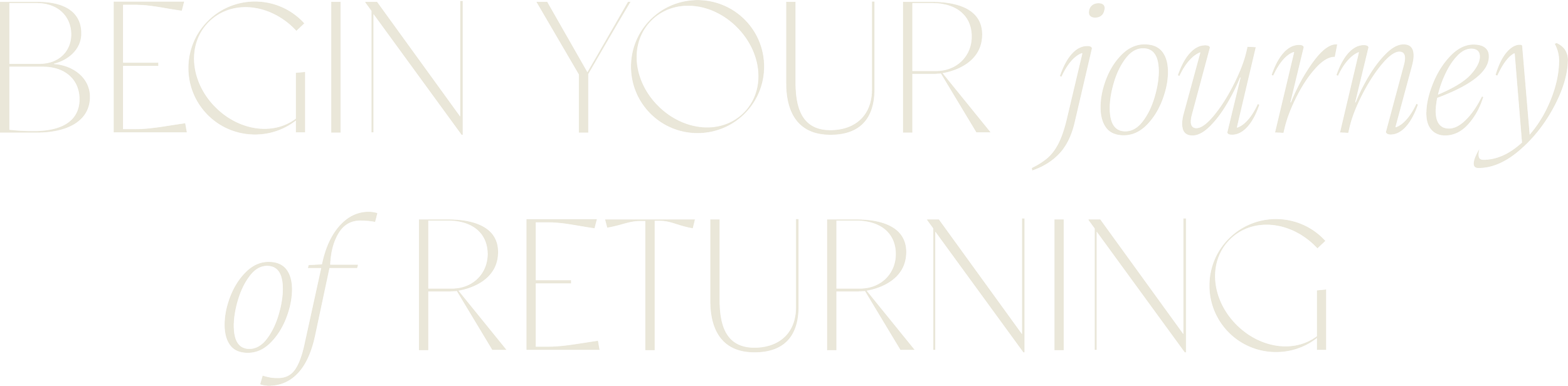 kori meloy — FREELY ROOTED