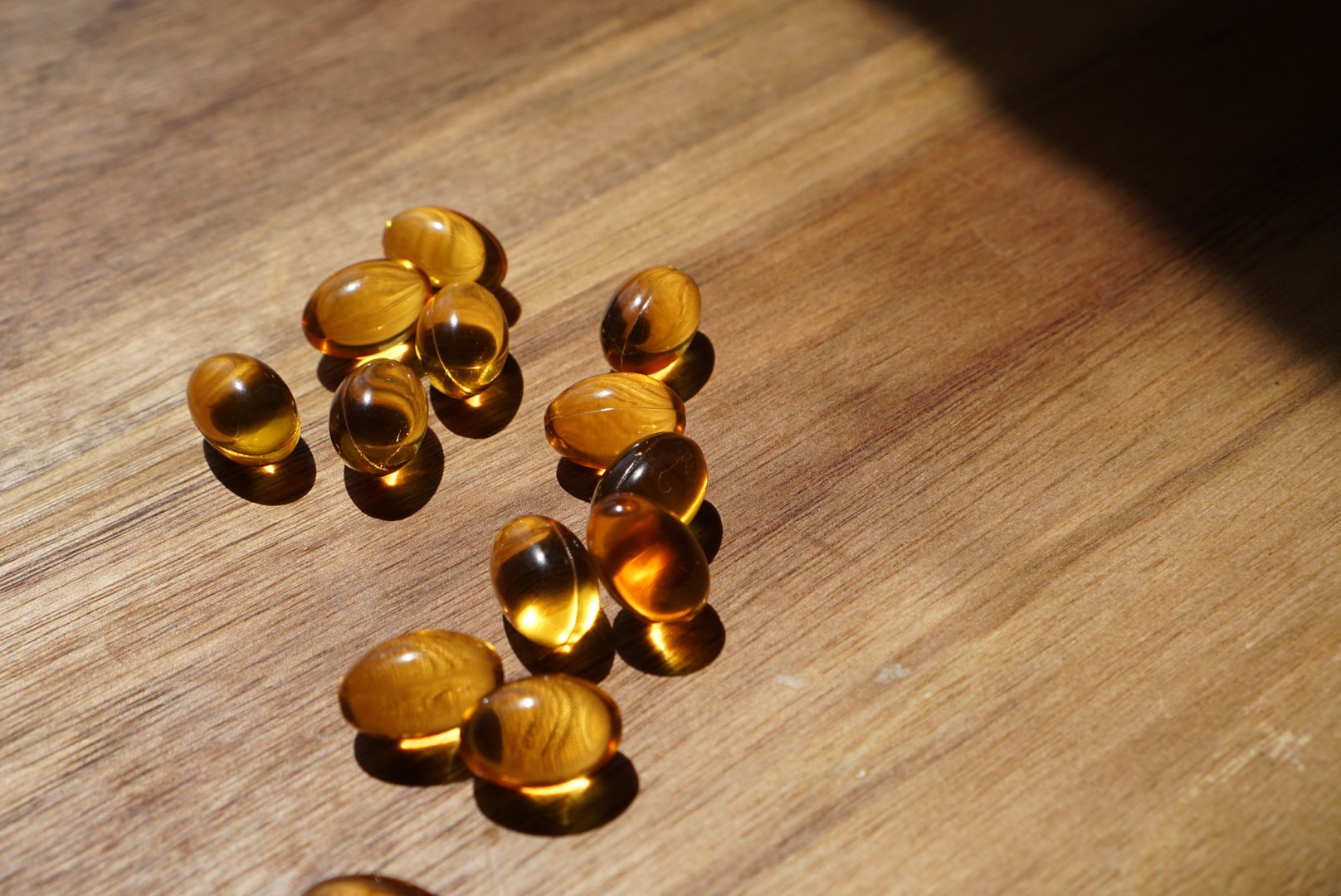 kori meloy — FREELY ROOTED