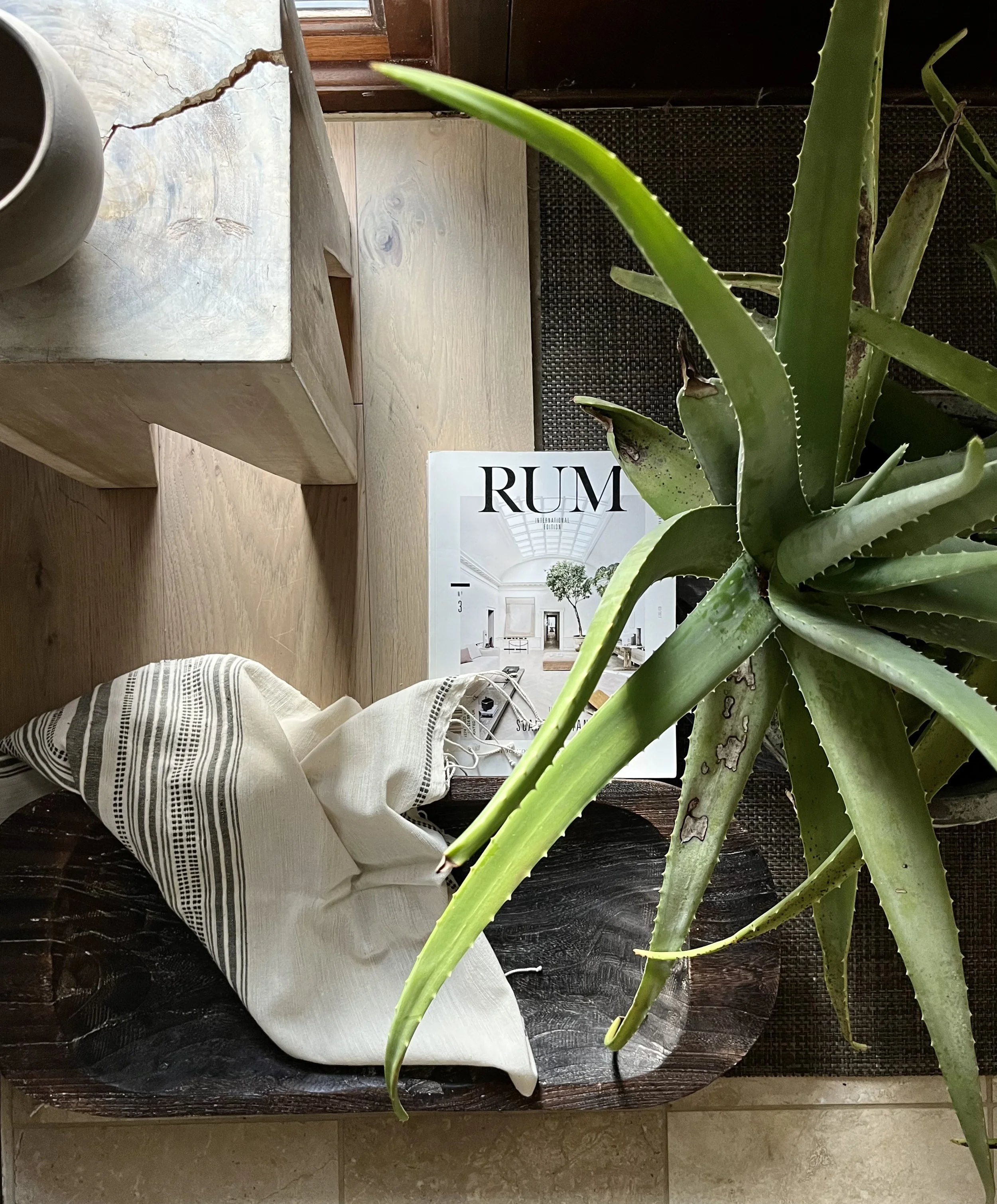 Modern, Minimal Interior Designer | Violet Ferritto Interiors