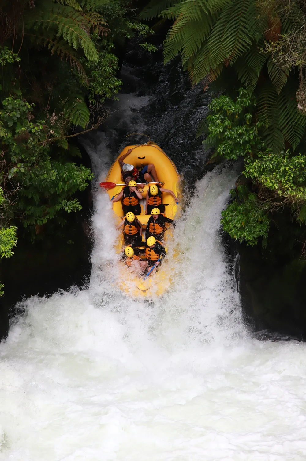 Contact — Springboard | Heart at Work