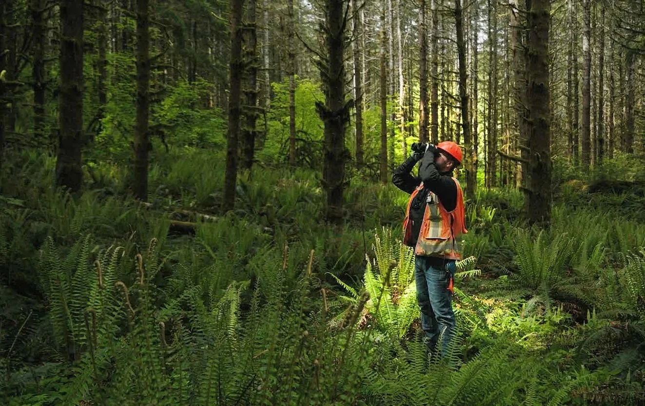 Working Forests Carbon Blueprint