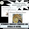 Math Projects Fibonacci Sequence Tessellations and Fractals — Education ...