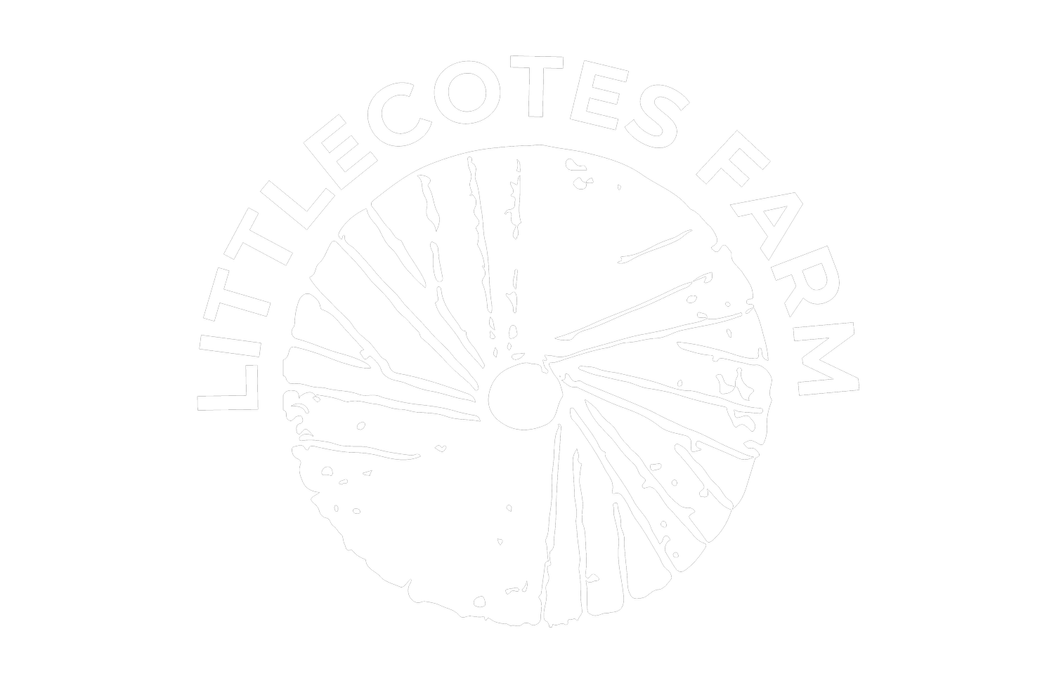 BAKEWELL CARNIVAL — THE H BOUTIQUE HOTEL