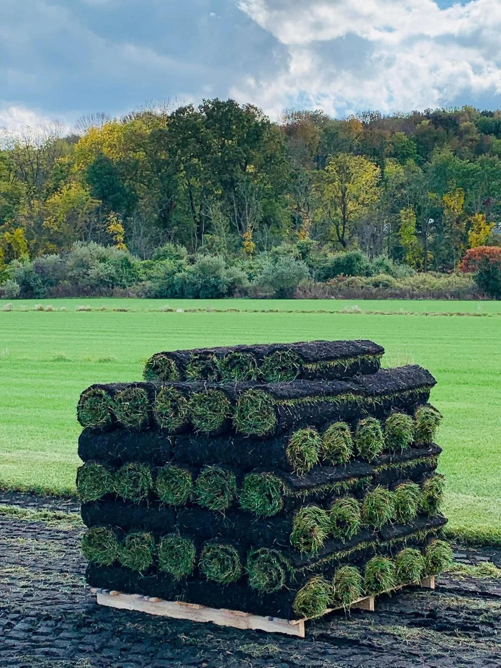 Gallery 3 — Liberty Sod Farm