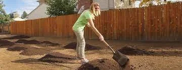 Sod Info — Liberty Sod Farm