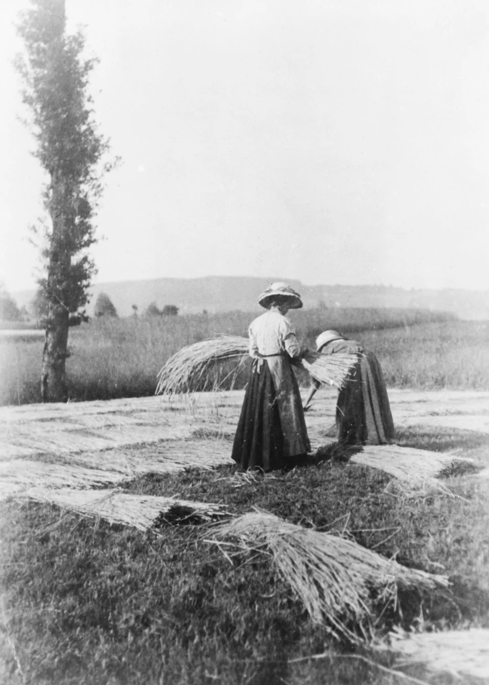 SCHWEIZER STROHMUSEUM