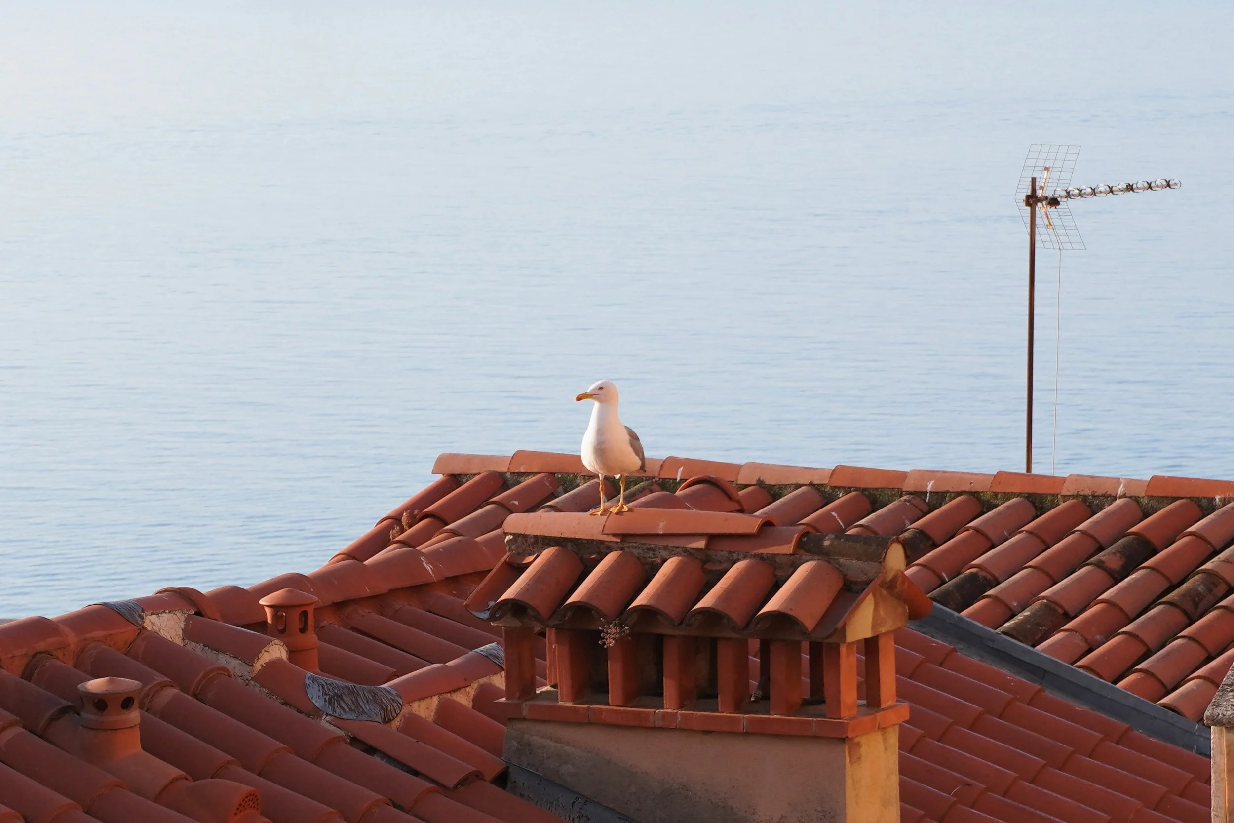 Menton: The Colorful Gem of the Riviera — WHERE IS SIBLEY