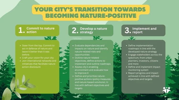 Nature-Positive Cities: A Strategy for Urban Resilience — I Responsible ...