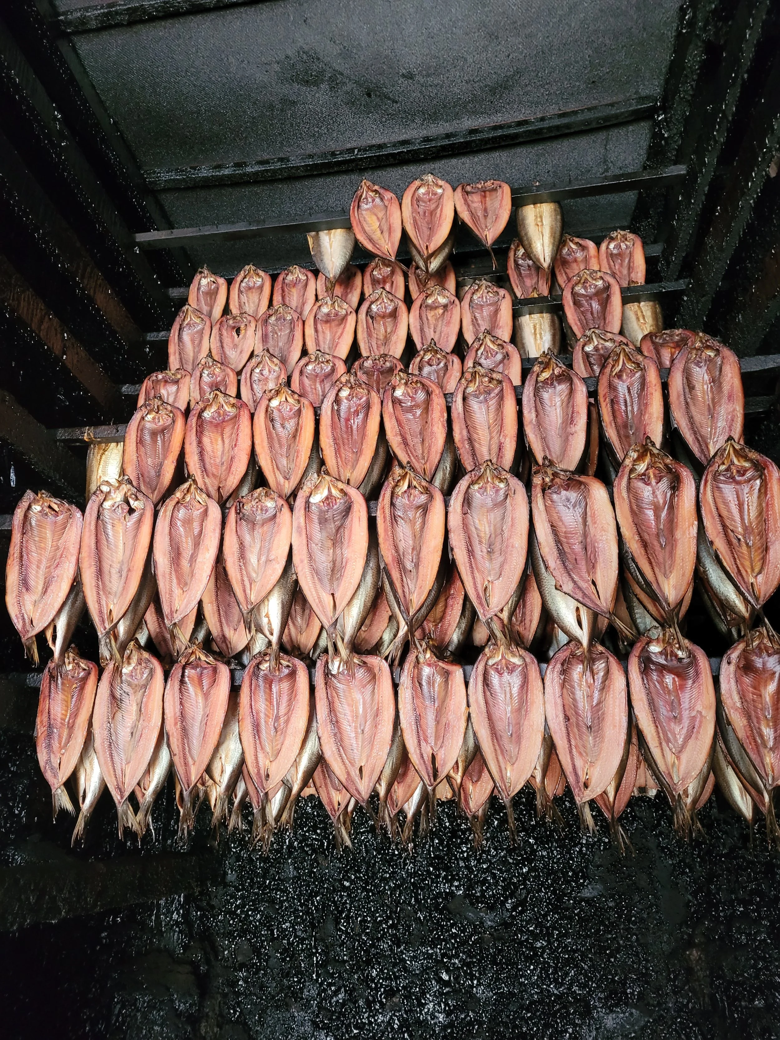 Gallery — Fortune's Kippers Whitby