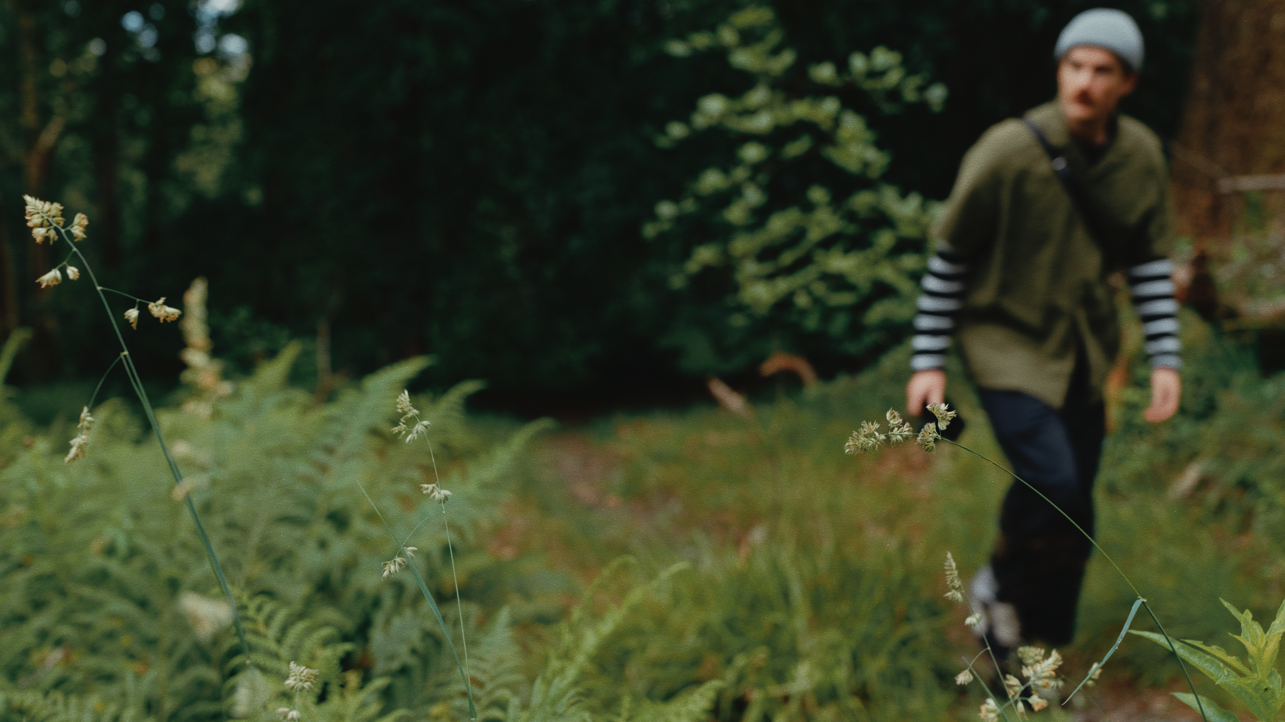 In-Camera RAW Processing With LUTs — rossandhisjpegs