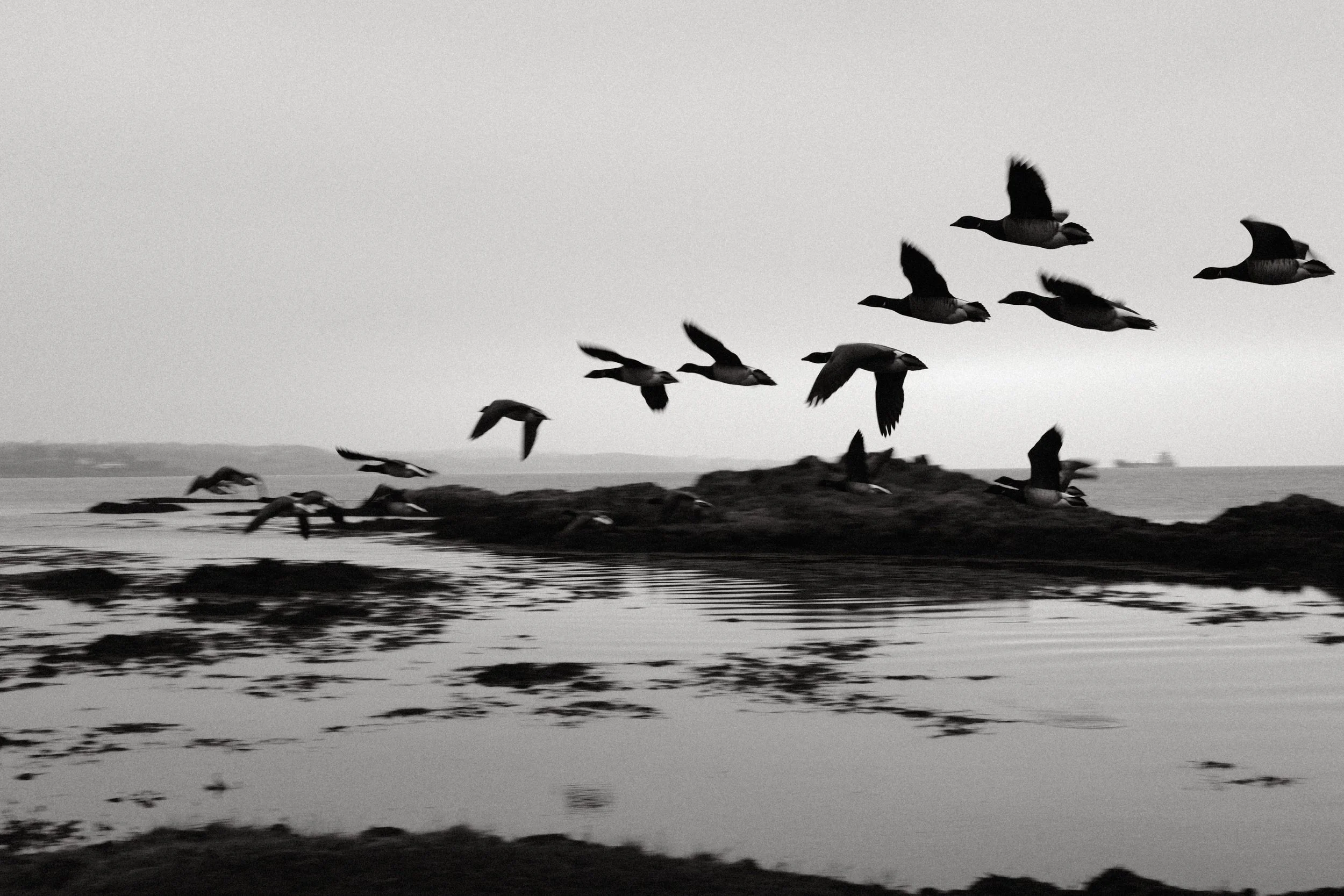 Oxygen Mono — rossandhisjpegs