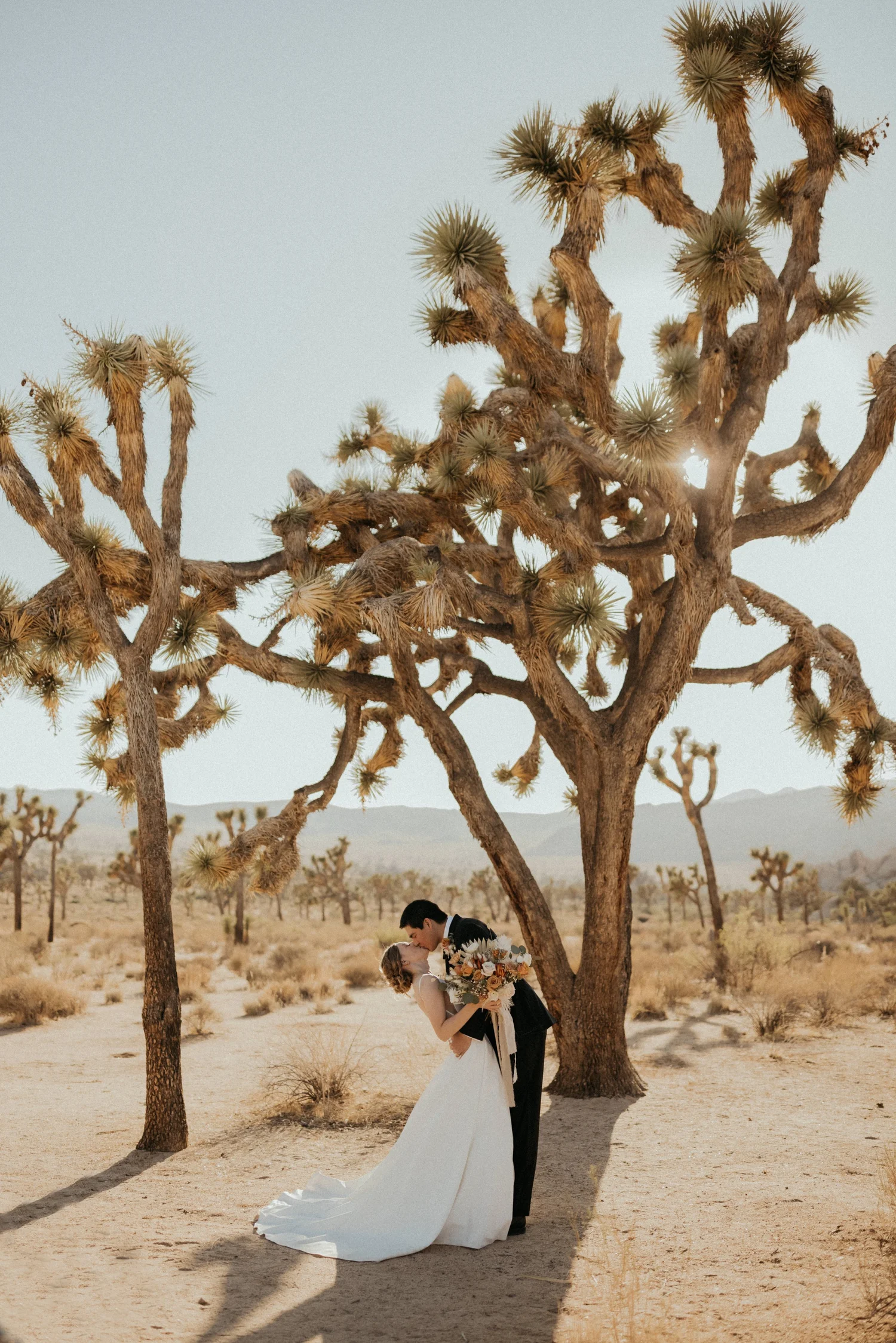 Sarah and Ross: Joshua Tree, 9.21.2021 — Desert Rose Creative