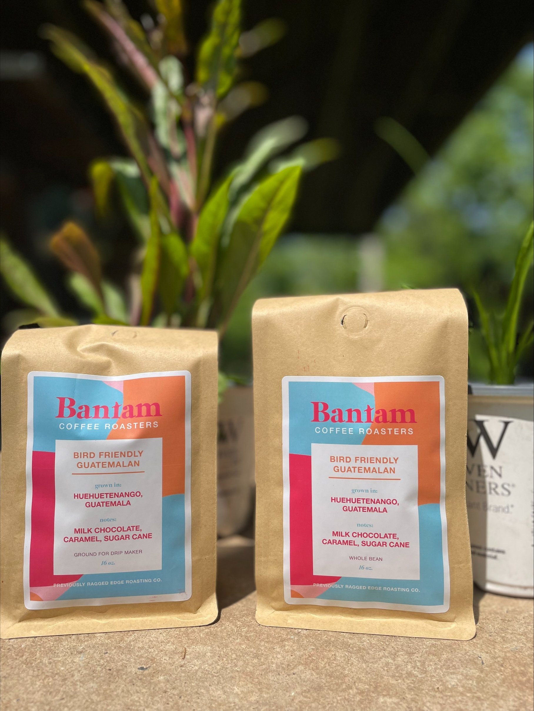 Bird Friendly Coffee — Appalachian Audubon Society