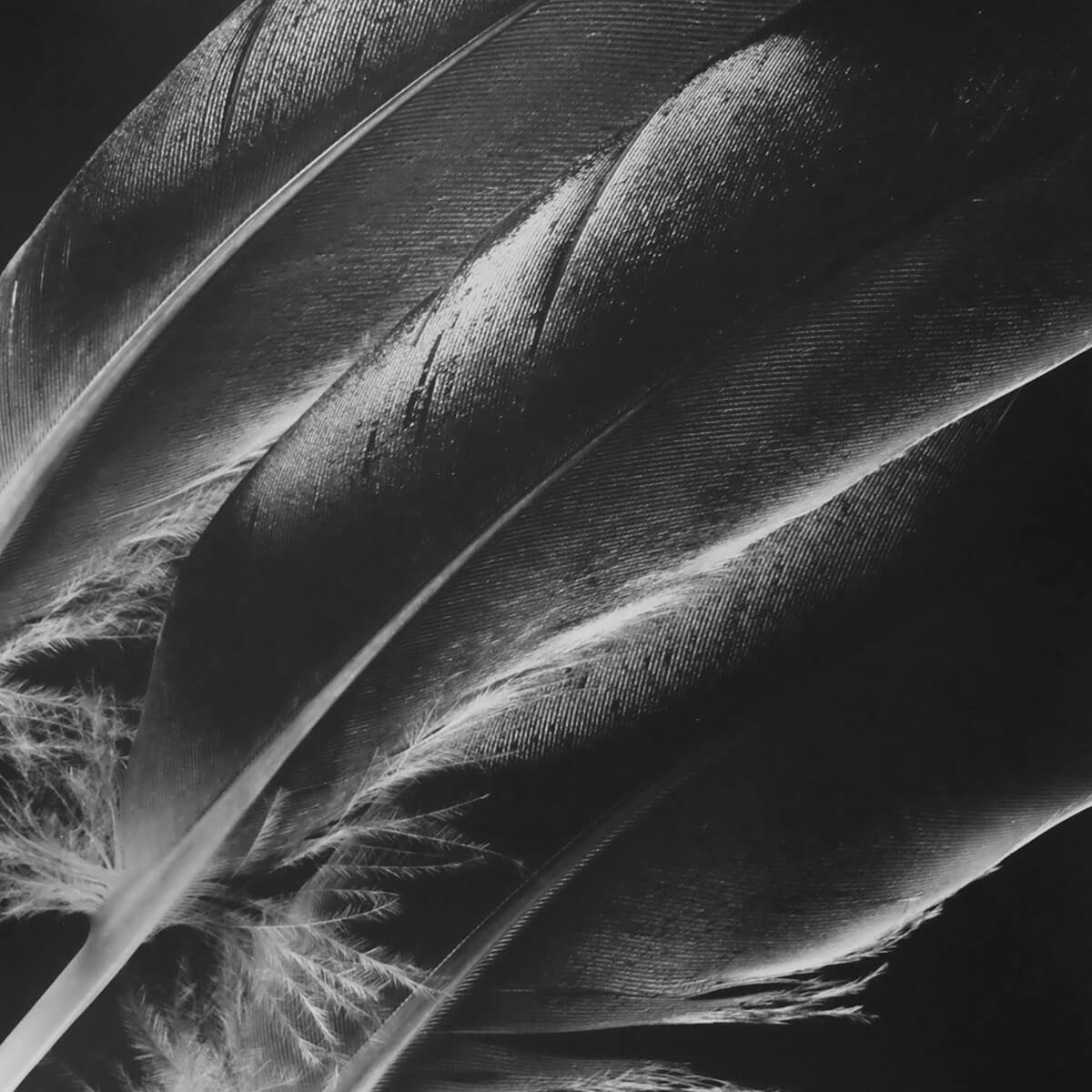 Artists — Bath Artists Studios