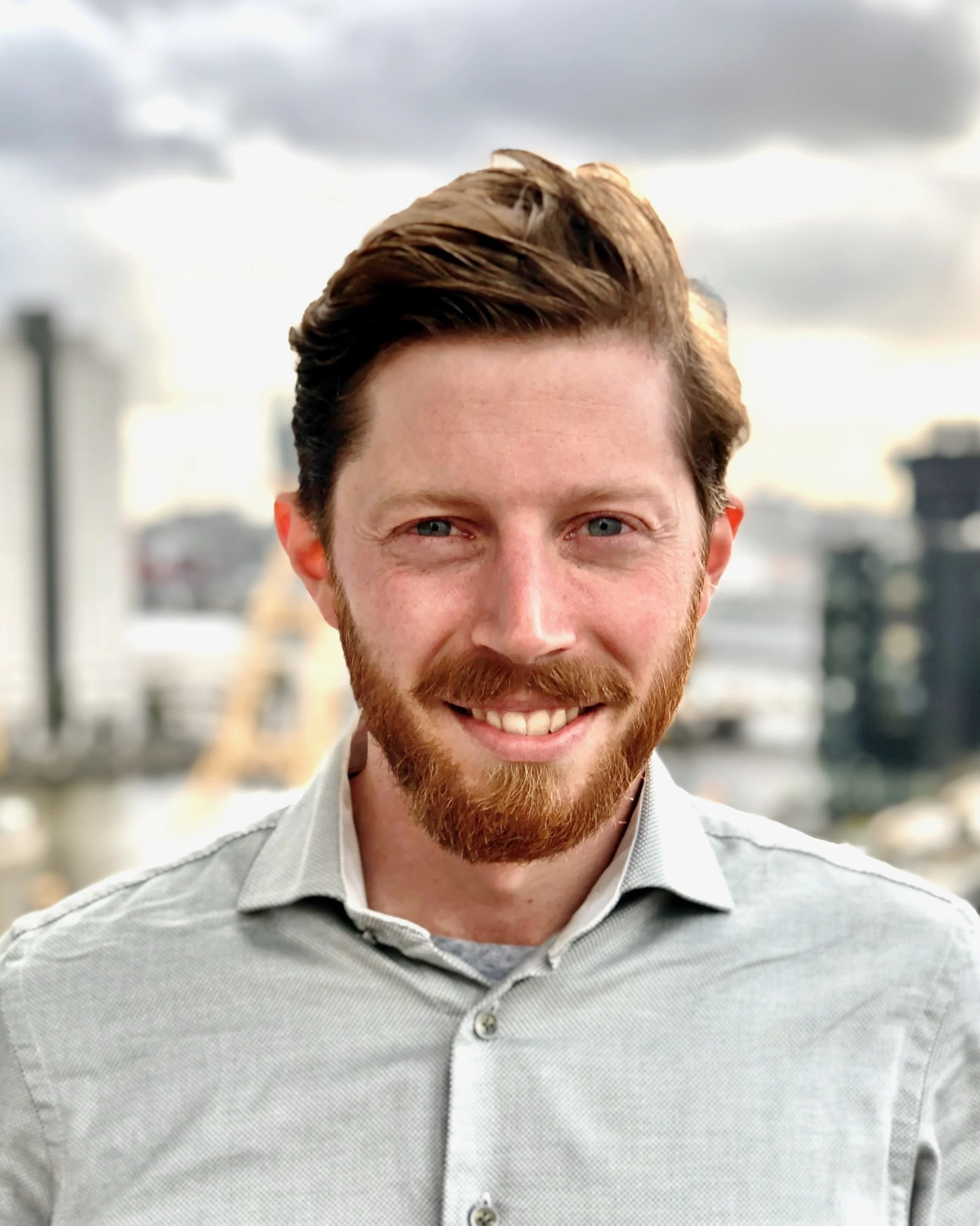 Michael Hübner — Wetgevingswerken