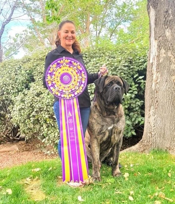 Cynsational Award Ribbons