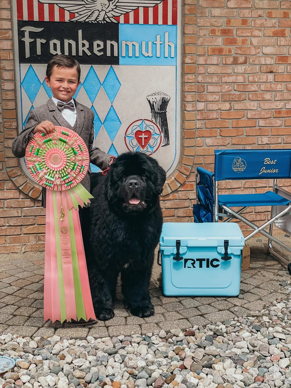 Cynsational Award Ribbons