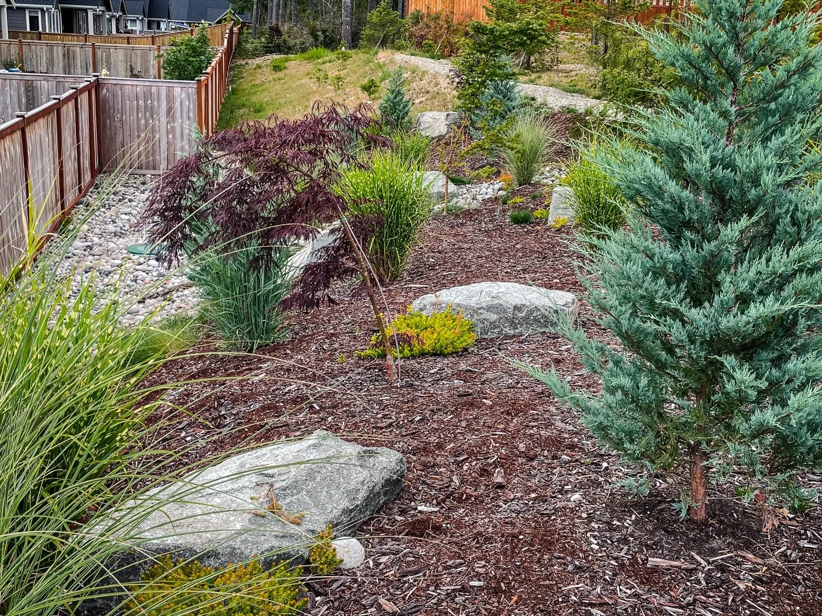 Landscape Planting Beds — Blacklotus Landscaping