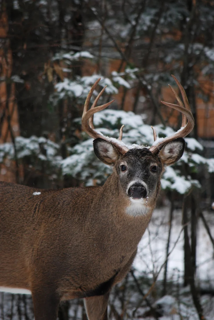 Services — Winnipeg River Tourism Corridor