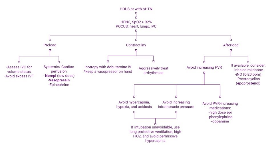 Pulmonary Hypertension — NYP Emergency Medicine Residency